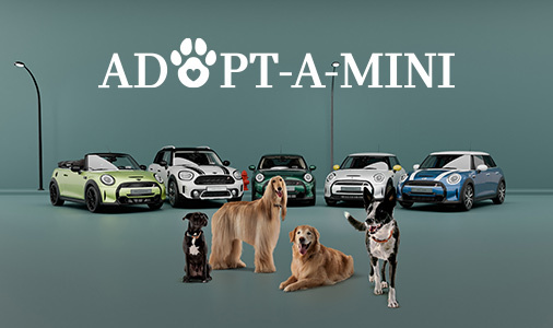 Adopt-A-MINI | MINI Georgian